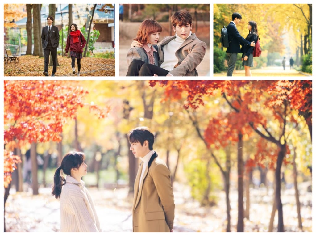 9 K-Dramas Perfect To Watch During The Fall Season - What The Kpop